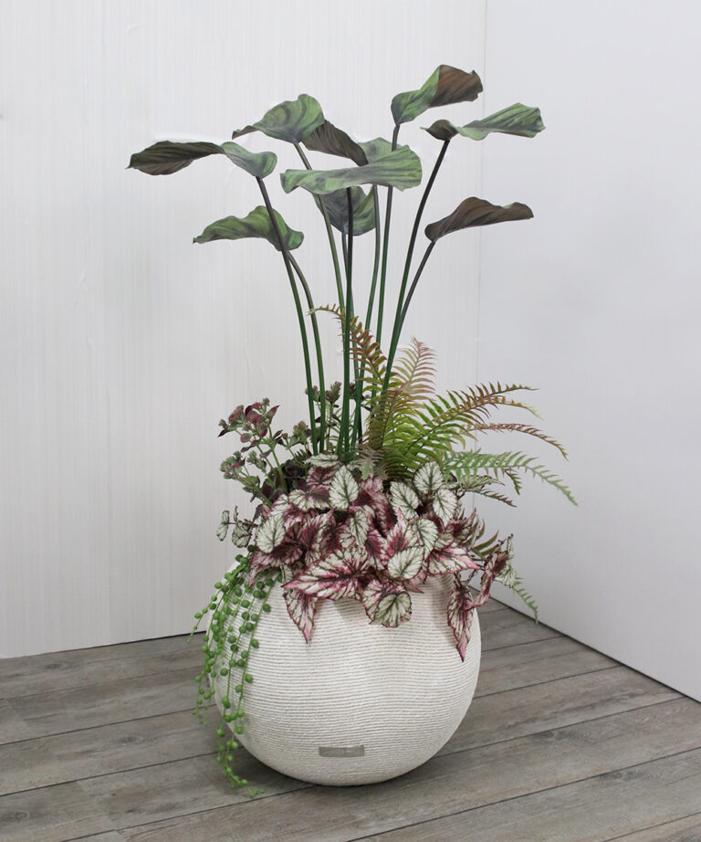 商品情報 | エミリオロバ | EMILIO ROBBA