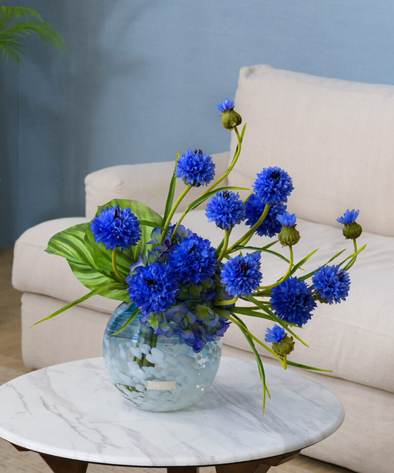 エミリオロバ | EMILIO ROBBA