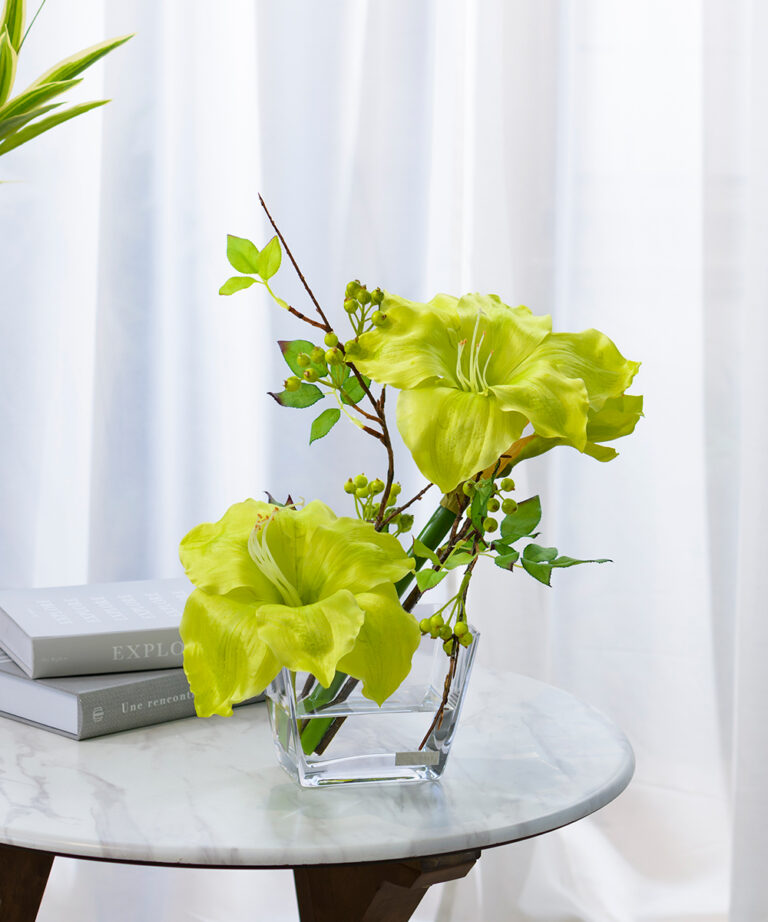 エミリオロバ | EMILIO ROBBA