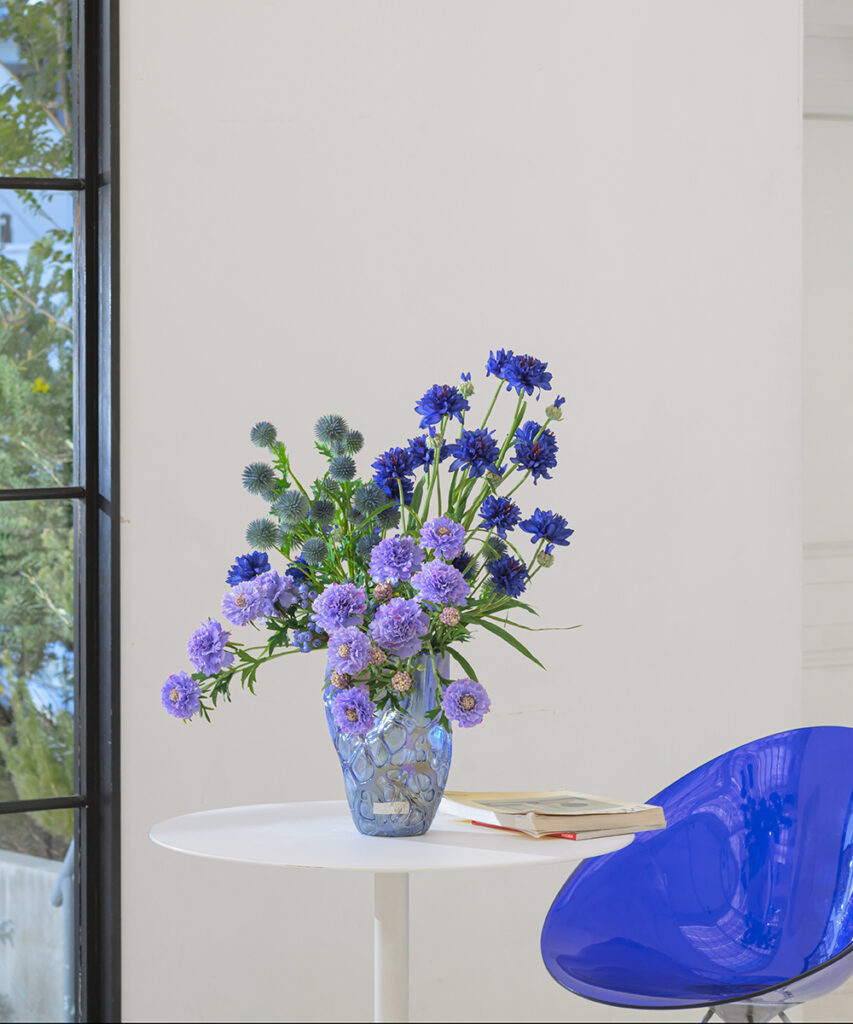 エミリオロバ | EMILIO ROBBA